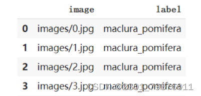 第一次作业：kaggle比赛：Classify Leaves图片树叶分类。_kaggle competitions download -c classify-leaves-CSDN博客