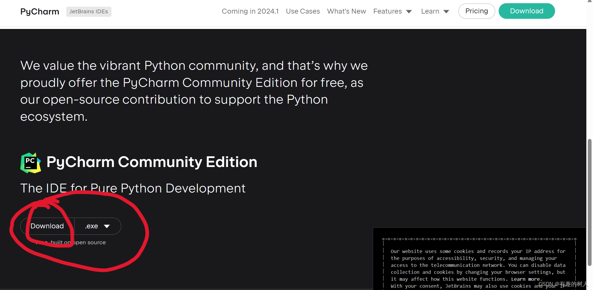 python及pycharm安装教程（2024超详细）_python和pycharm安装教程-CSDN博客