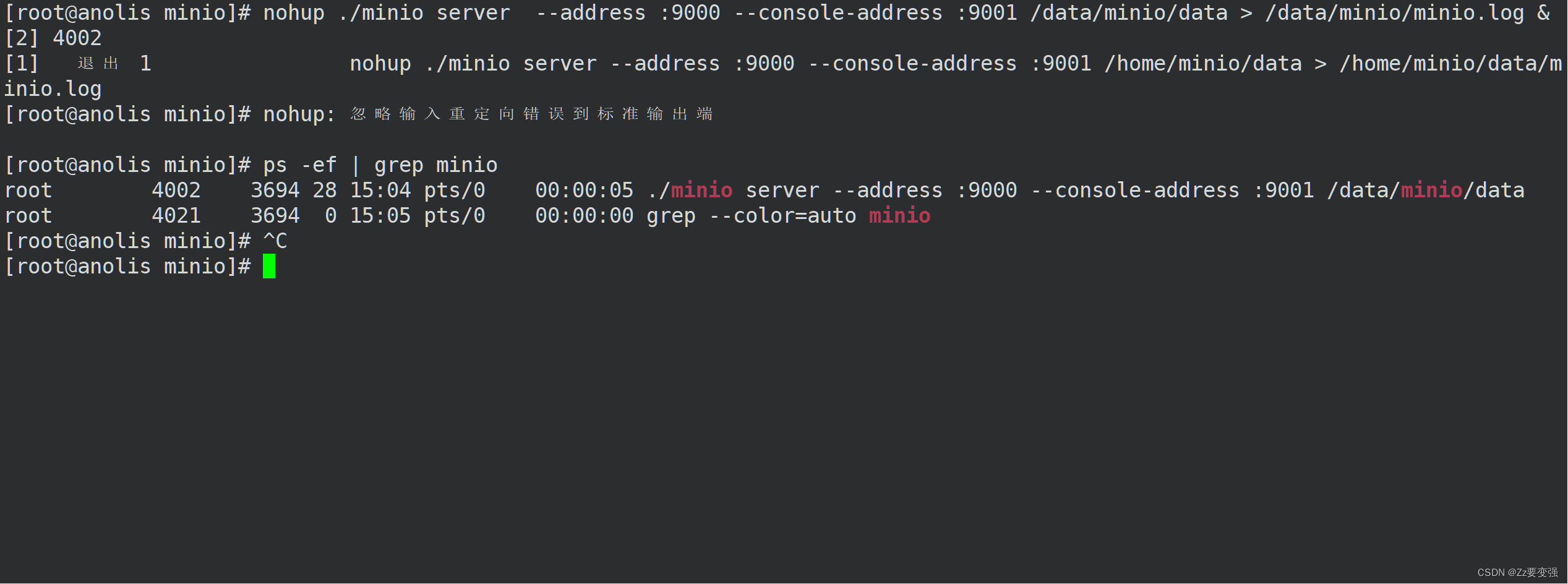 Linux与Docker部署MinIO存储服务-CSDN博客