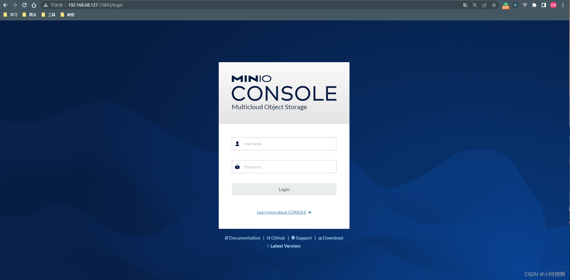 minio安装教程 linux+windows_minio历史版本下载-CSDN博客