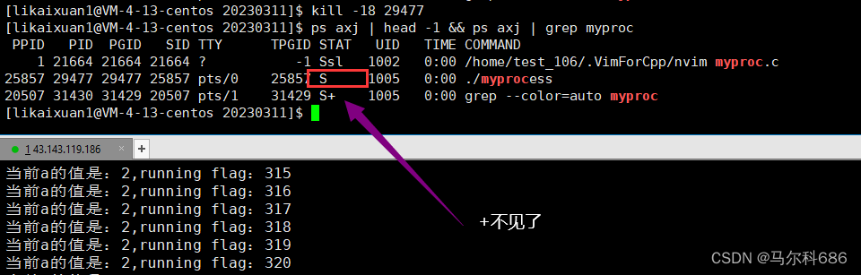 【Linux】进程概念（3）（进程的状态 running 阻塞sleeping 、disk sleep、tracing stop 挂起 死亡dead zombie）-CSDN博客