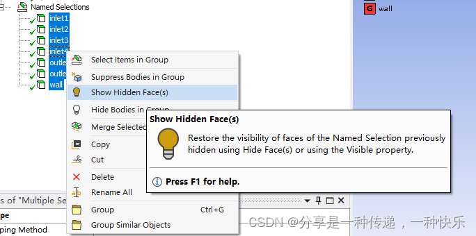 ansys meshing软件定义的边界名称（named selections）一定要取消hide faces（选择 show hidden faces），否则无法导出边界名称到.msh文件 ...