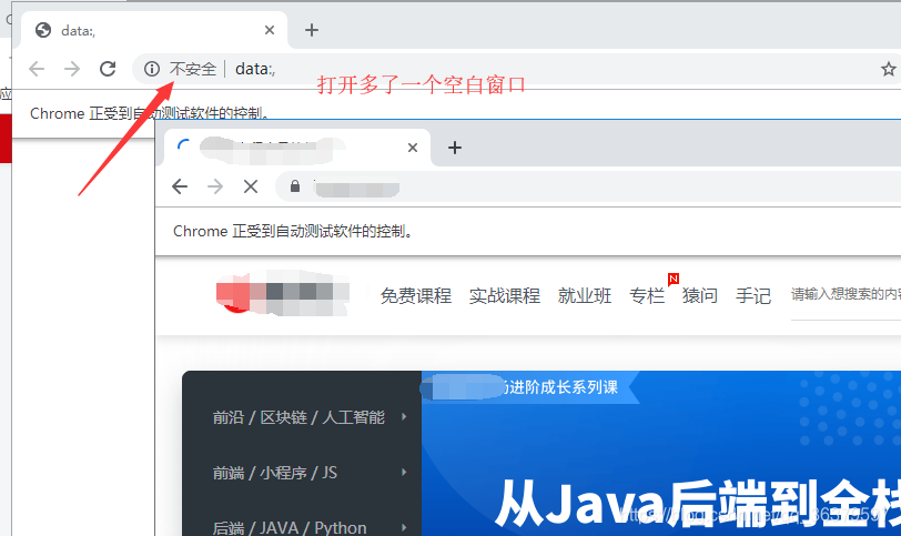 Selenium Java 运行打开多余一个空白窗口selenium Java 打开页面白板 Csdn博客