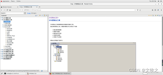 dm控制台工具console-CSDN博客