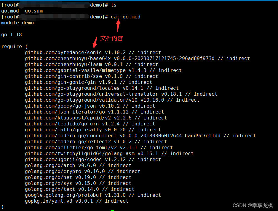 docker部署go gin框架 Linux环境_docker gin开发化境-CSDN博客