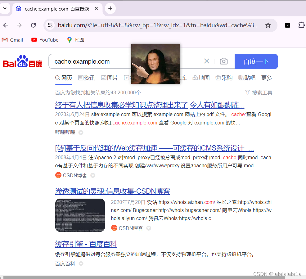 演示自定的Google hacking语法-CSDN博客