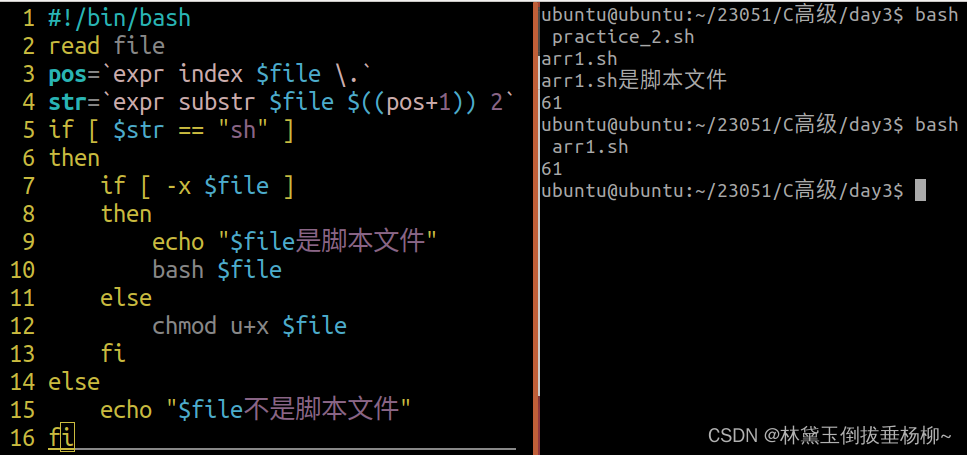 C高级--day3(shell中的输入、命令置换符、数组、算数运算、分支结构)_c shell 键盘输入-CSDN博客