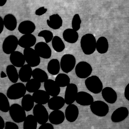 【OpenCV-Python】教程：3-15 分水岭图像分割_cv2.watershed-CSDN博客