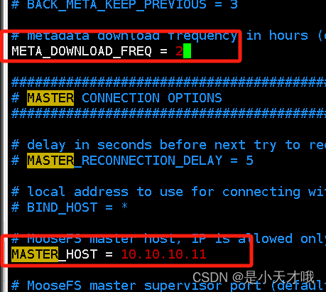 分布式存储MFS-3-MFS-MetaData搭建_mfsmetadump-CSDN博客