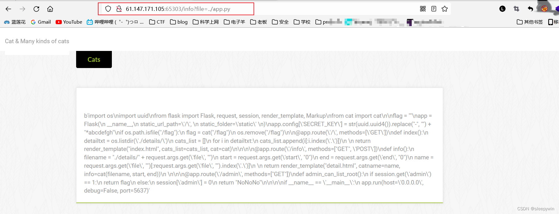 web：catcat-new（文件包含漏洞、flask_session伪造）-CSDN博客