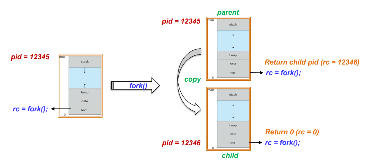 【OSTEP】进程API | 系统调用 fork wait exec | 僵尸进程 | 孤儿进程 | IO重定向 | 文件描述符 fd | 匿名管道 | 命名管道 | 非阻塞 | IPC 进程 ...