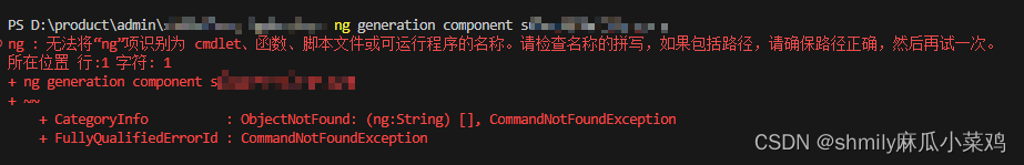 ng : 无法将“ng”项识别为 cmdlet、函数、脚本文件或可运行程序的名称。请检查名称的拼写，如果包括路径，请确保路径正确，然后再试一次。-CSDN博客