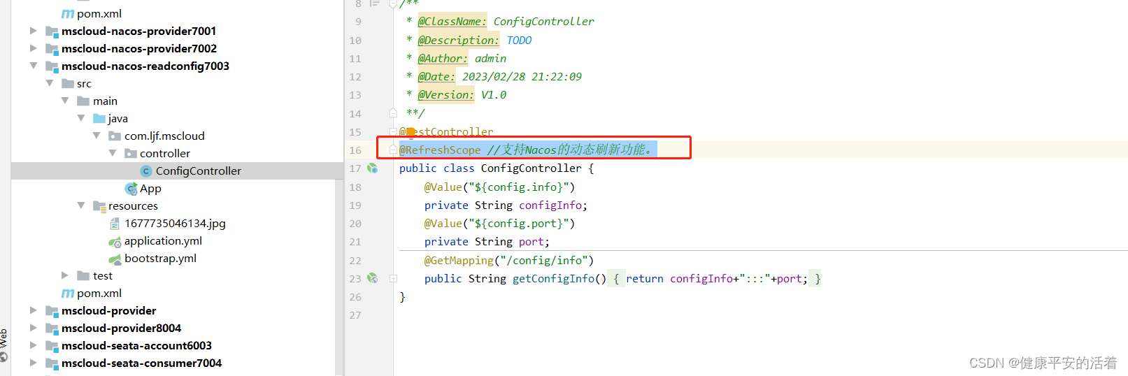 springcloud3 Nacos中配置中心config内容获取与配置(namespace,group,dataId)_spring.cloud.nacos.config.namespace ...