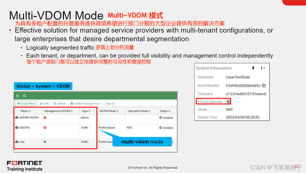 教程篇(7.2) 13. 虚拟域 VDOM & FortiGate基础设施 Fortinet网络安全专家 NSE4_飞塔vdom-CSDN博客