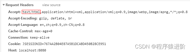 SpringBoot——定制错误页面及原理_errorpagecustomizer-CSDN博客
