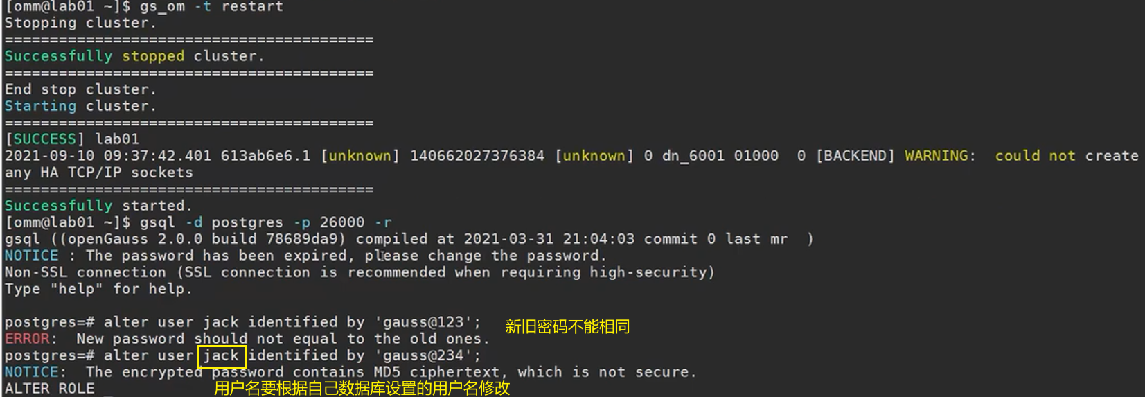 Django连接openGauss数据库_django opengauss-CSDN博客