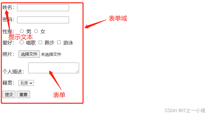 表单标签form、label、input、textarea、select_form label-CSDN博客