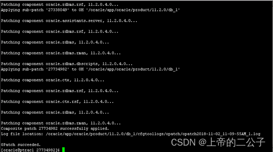 11G RAC PSU-CPU-OJVM补丁升级过程_oracle11g最新补丁-CSDN博客