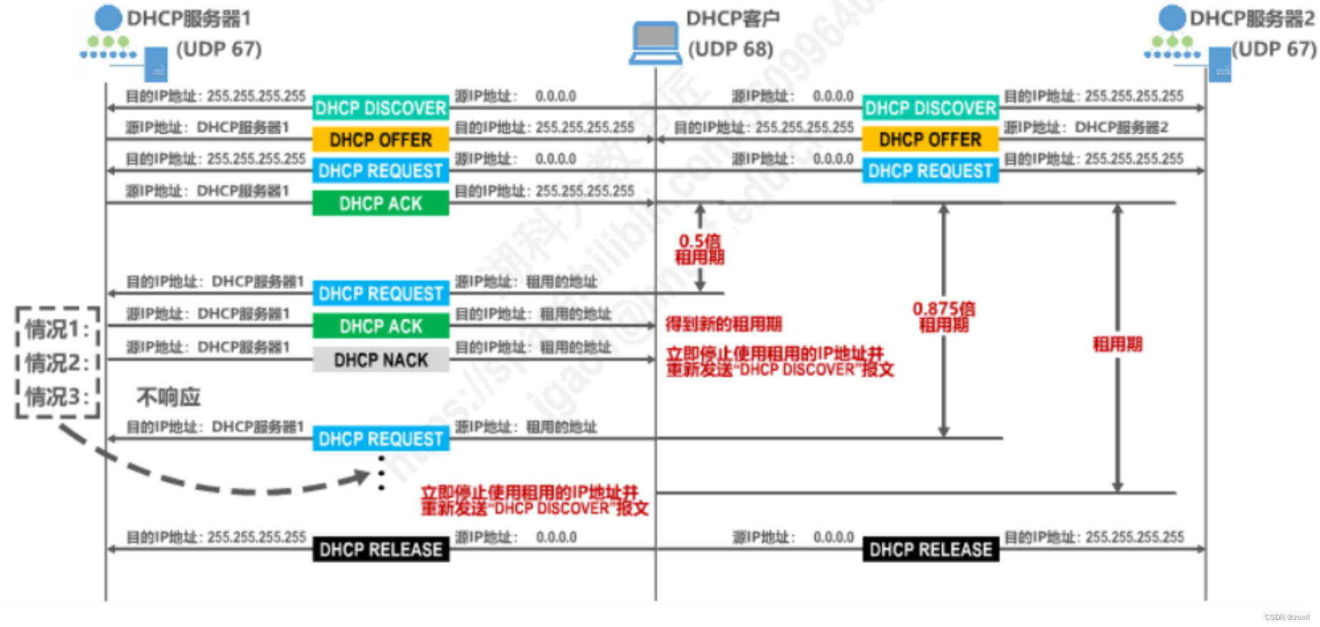 计算机网络应用层详解：C/S与P2P、DHCP、DNS、FTP及电子邮件-CSDN博客