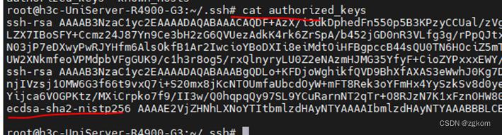 vs2022远程linux调试，私钥免密登录失效_vs2022 ssh-CSDN博客