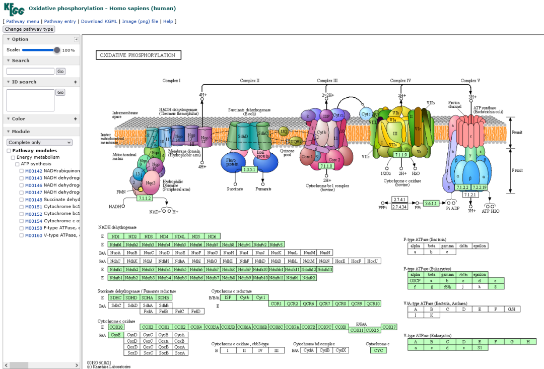 Pathview包教程|1.认识和入门-CSDN博客