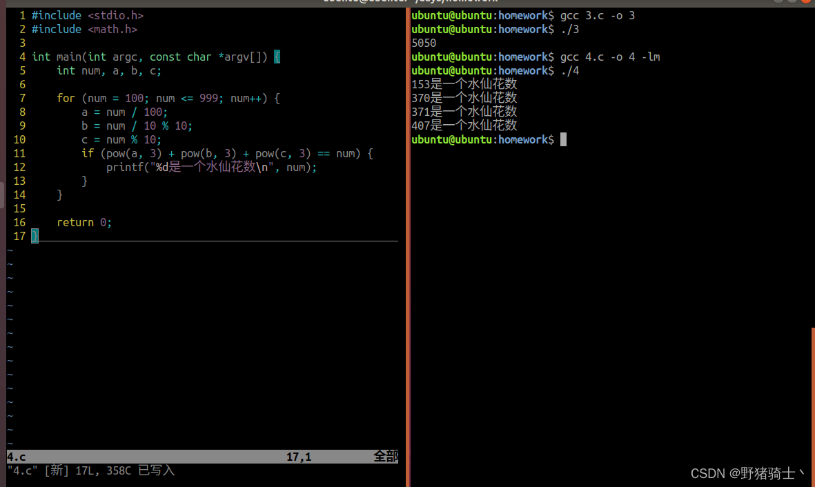 DAY 5 C基础 -switch分支 -while循环 -for循环 辅助控制关键词_switch case for while-CSDN博客