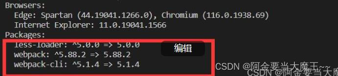 vue3 webpack打包流程及安装 （1）-CSDN博客