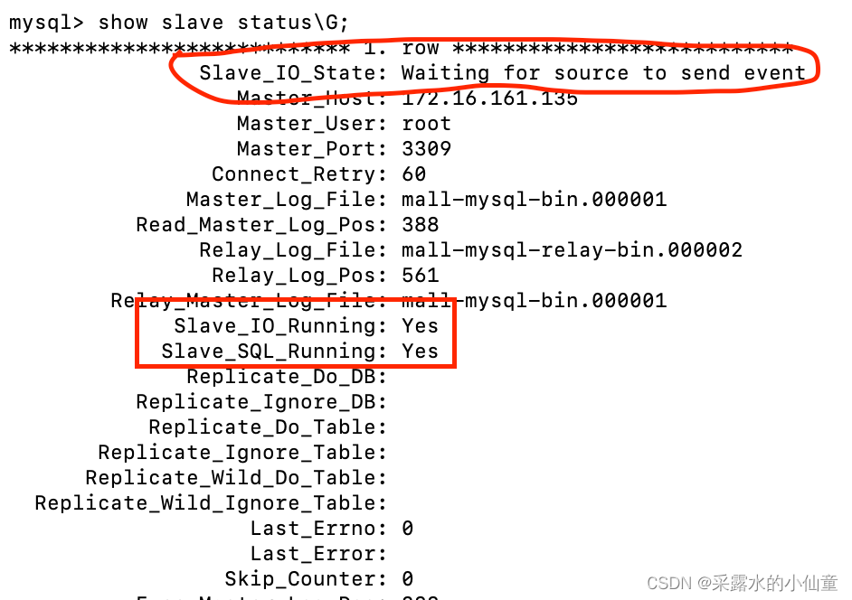 docker搭建mysql8主从复制_docker 中安装mysql 8进行主从复制-CSDN博客