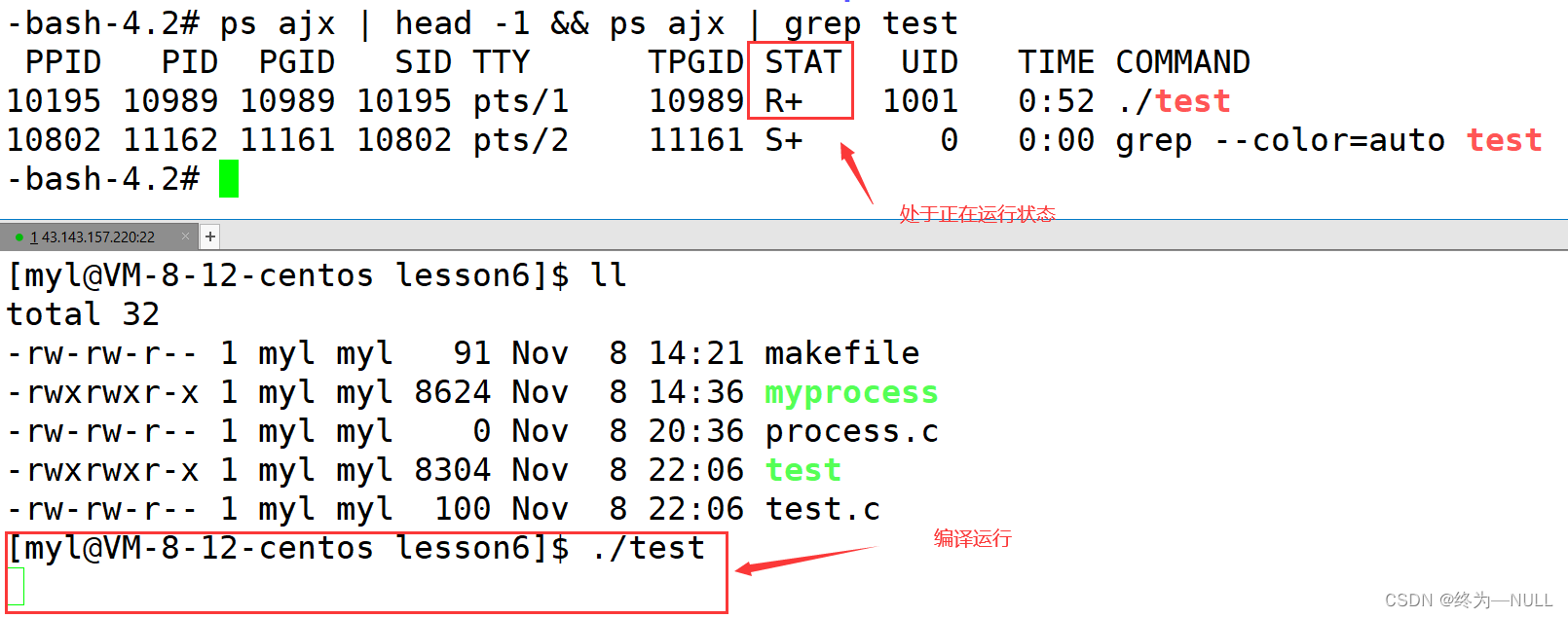 面试经常问的Linux进程到底是什么呢？1W字从0到1详解进程的所有细节！_面试需要了解linux进程吗-CSDN博客