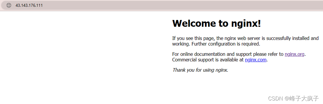 Nginx（一）Nginx安装（Linux）_nginx 1.25-CSDN博客