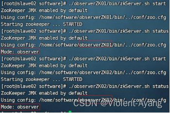 zookeeper的动态扩容_扩容 observer-CSDN博客