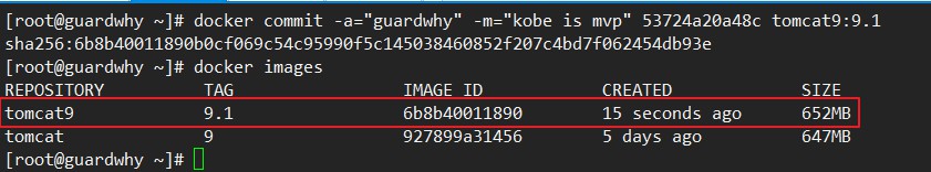 Docker安装Tomcat无法访问_webapps.dist 目录-CSDN博客