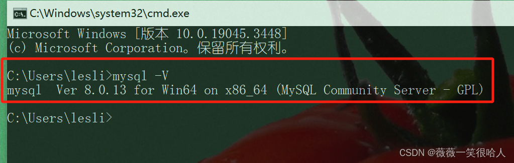 在Windows环境下搭建MySQL_mysql x protocol port-CSDN博客
