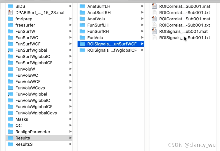 神经影像学研究：DPABISurf后的统计分析与应用-CSDN博客