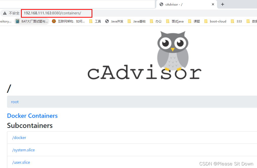 Docker 容器监控之CAdvisor+InfluxDB+Granfana-CSDN博客