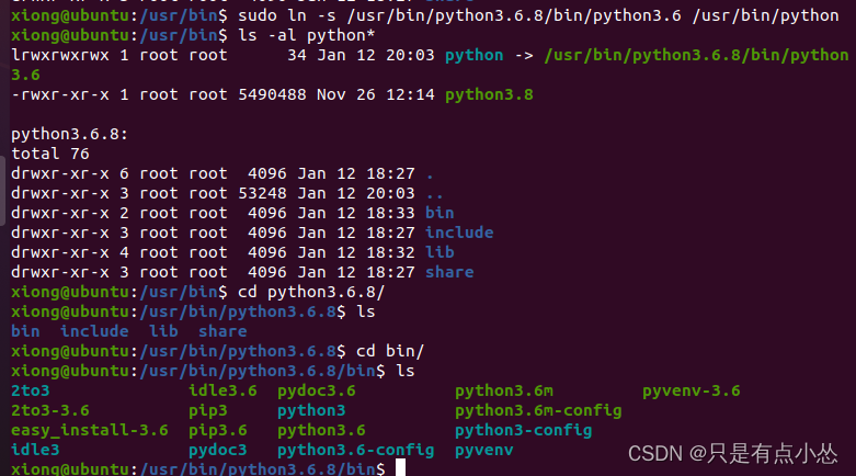 Ubuntu虚拟机环境下安装Python3.6_ubuntu安装改python3.6-CSDN博客