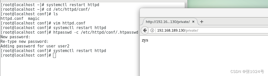 centos7搭建apache服务（基于域名和IP访问，用户访问控制）_apache配置域名访问-CSDN博客