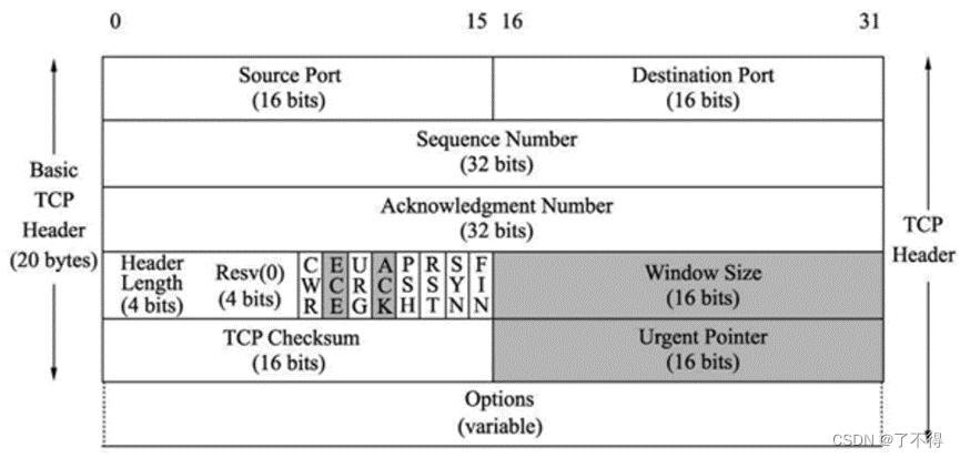 【计网实验】Lab Exercise – TCP-CSDN博客