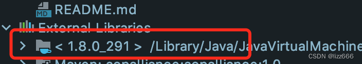 异常:javalangnosuchmethoderror Javaniobytebufferflipljavaniobytebuffer;原因及处理 Csdn博客