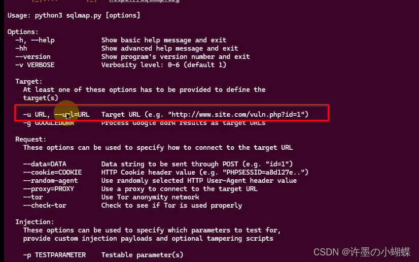 SQLMAP的使用（rails 为例）-CSDN博客