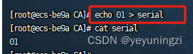 centos7 使用openssl 配置证书服务器并颁发证书（史上最详细版本）_centos openssl-CSDN博客
