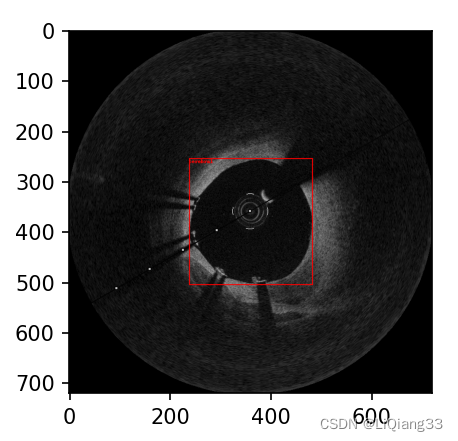 COCO_04 展示COCO格式数据集 目标框与分割mask_coco mask-CSDN博客