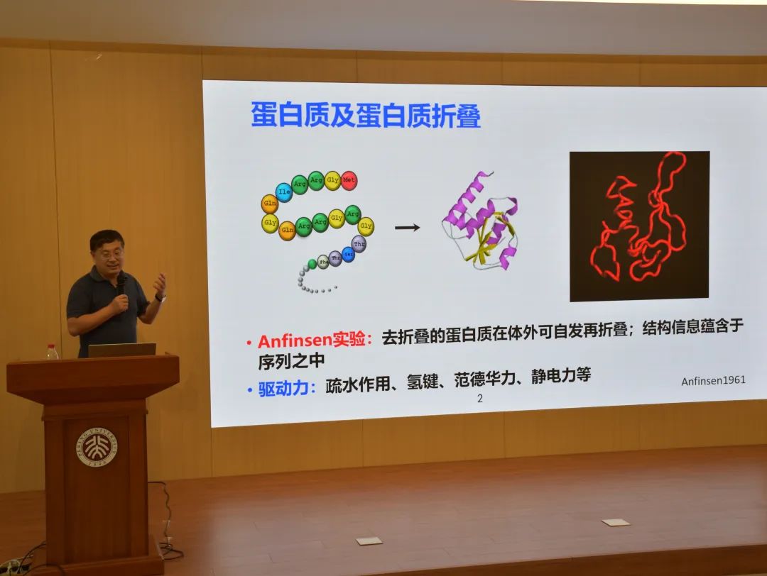 不负盛夏共成长，昇思赋能启新程——MindSpore SPONGE暑期学校第三季圆满收官_刘思睿 北京大学-CSDN博客