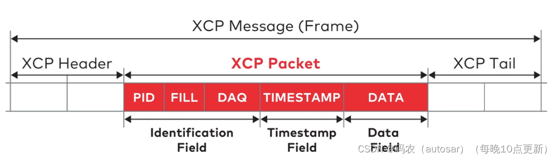 XCP协议入门-认识XCP协议2_xcp报文和can报文格式-CSDN博客