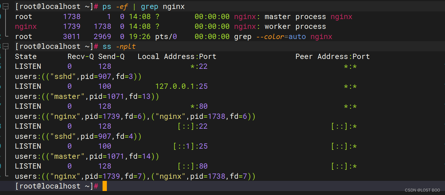 Linux DAY03-CSDN博客