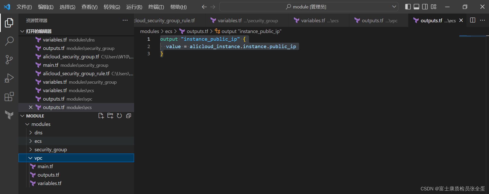 Terraform 语法 module模块 简介/封装/实践_terraform module-CSDN博客