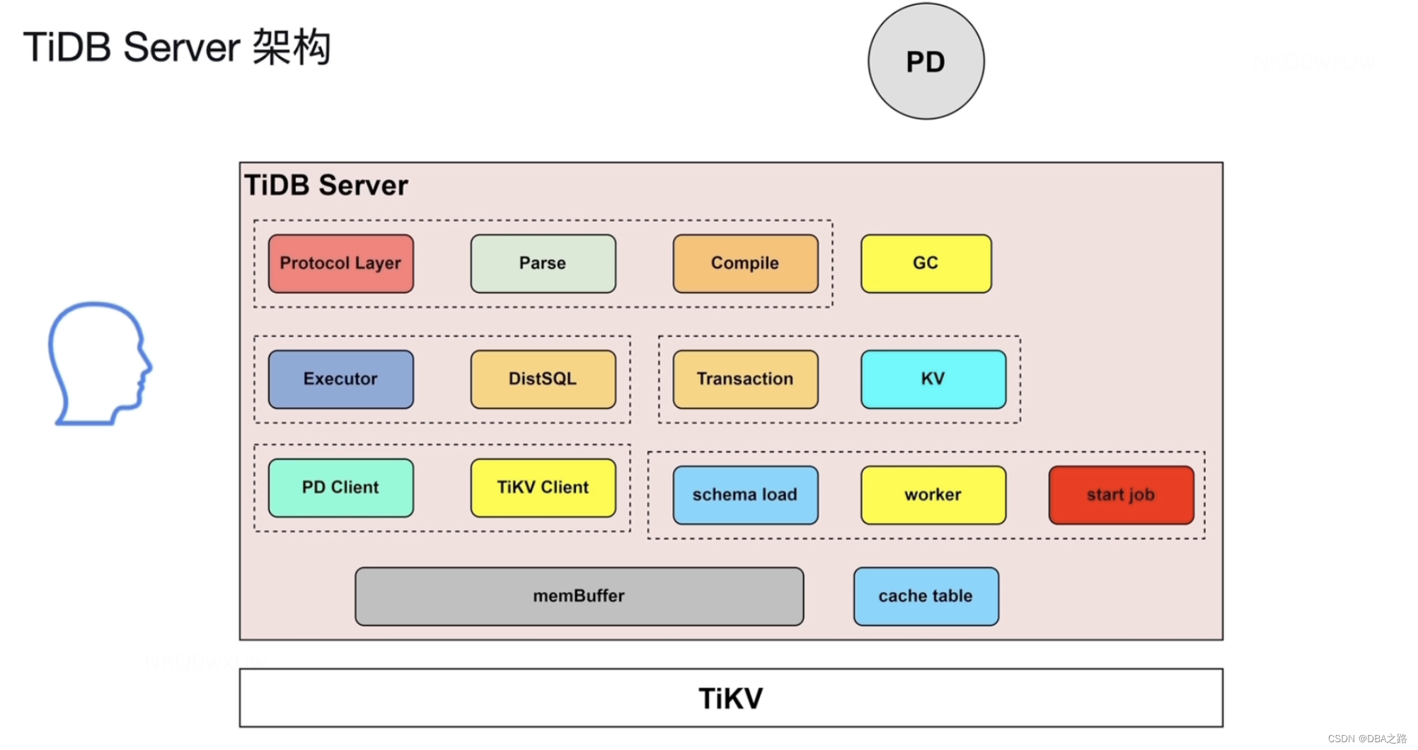 【TiDB理论知识 02】 TiDB Server-CSDN博客