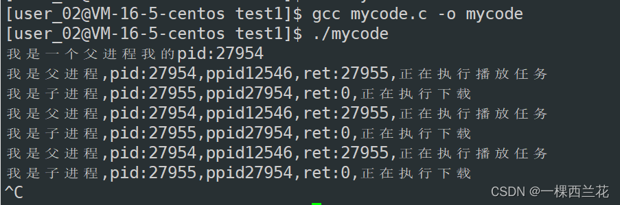 Linux：创建进程 -- fork，到底是什么？_linux fork 初衷-CSDN博客