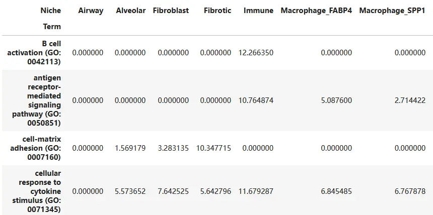 空间转录组niche通路富集与空间“hotspot”-CSDN博客