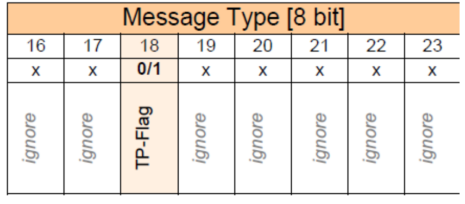 SOME/IP技术详解：Transformer、on-wire格式与SOMEIPTP协议,-CSDN博客